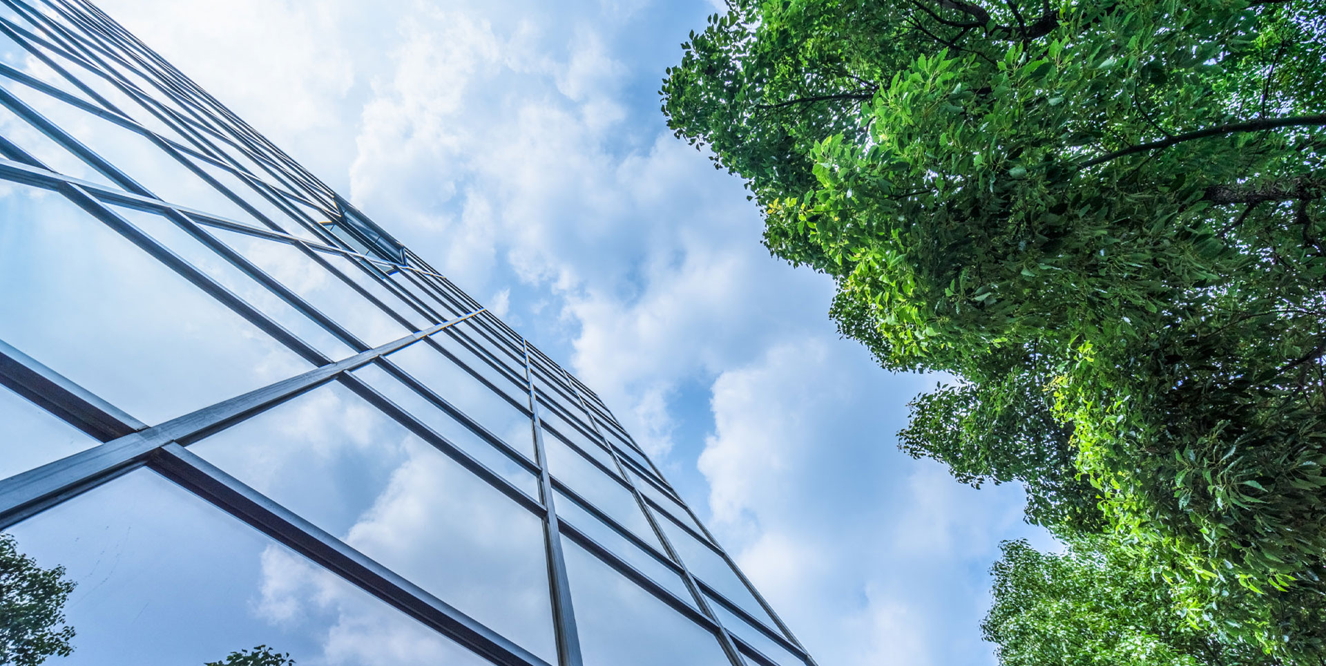 Paints and solutions for secondary glass processing - Fenzi Group SpA